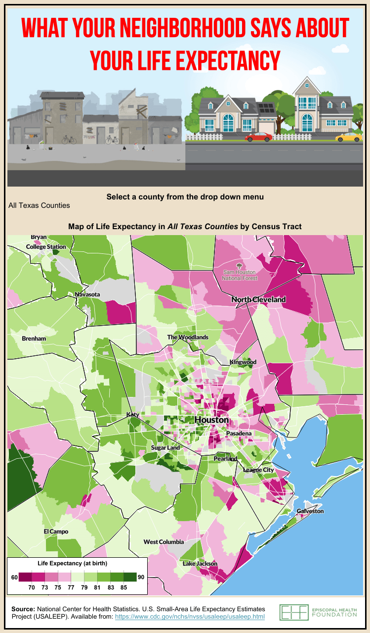 Understanding Houston