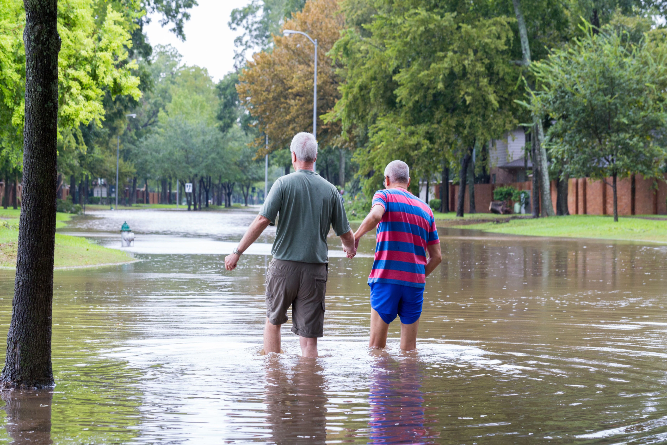 Houston is Resilient | Understanding Houston